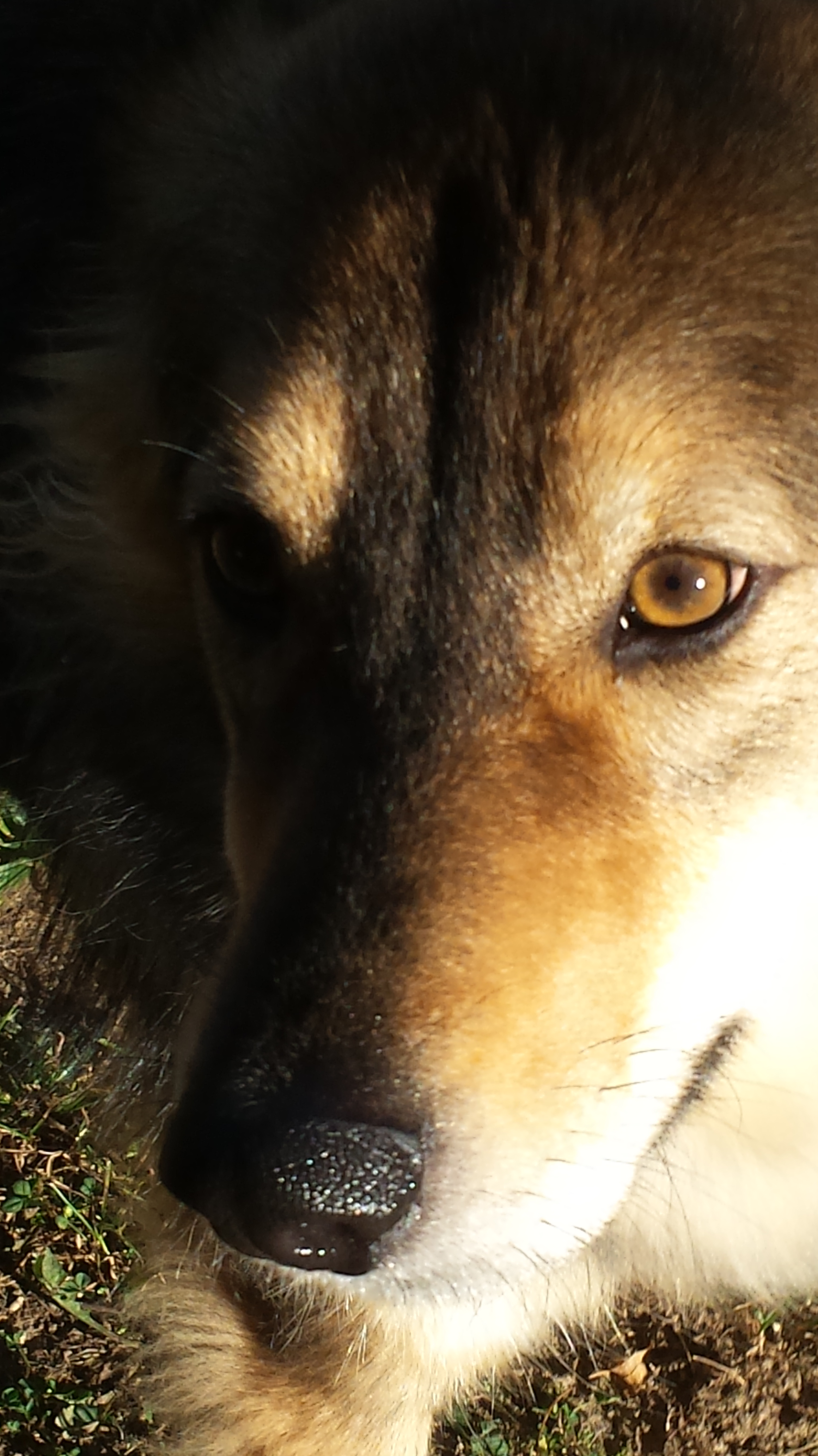 Toby Roo, aka Tobaroo (Part Two) – The Daily Tilly